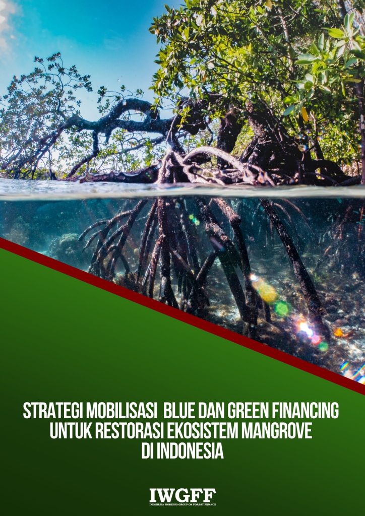 Strategi Mobilisasi Blue dan Green Financing untuk Restorasi Ekosistem Mangrove di Indonesia - IWGFF